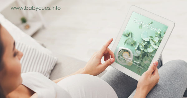 BabyCues Care After Birth Booklet